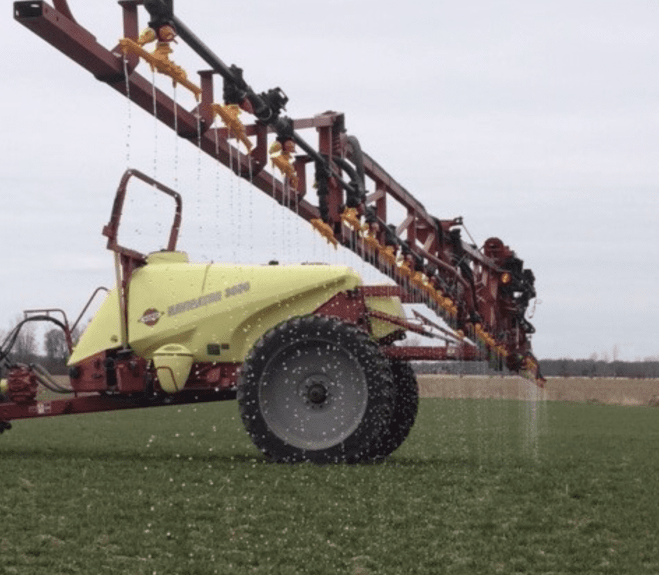 soft red winter wheat Archives - C&M Seeds